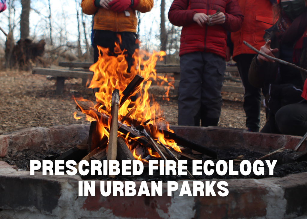 Prescribed Fire Ecology in Urban Parks » Urban Milwaukee